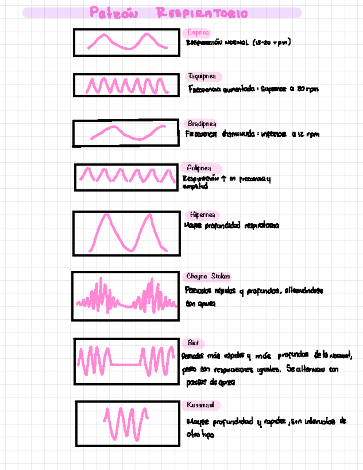 Patrones respiratorios - Eupnea Taquipnea Bradipnea Polipnea Hipernea ...