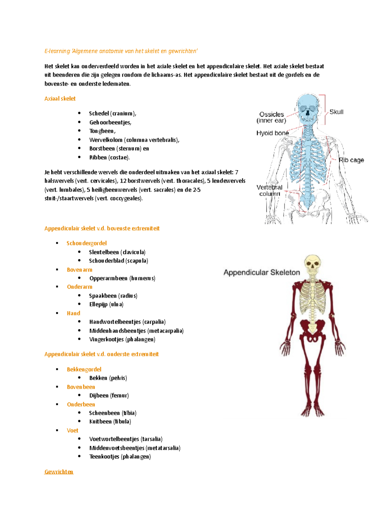 E-learning ‘Algemene anatomie van het skelet en gewrichten’ - Het ...