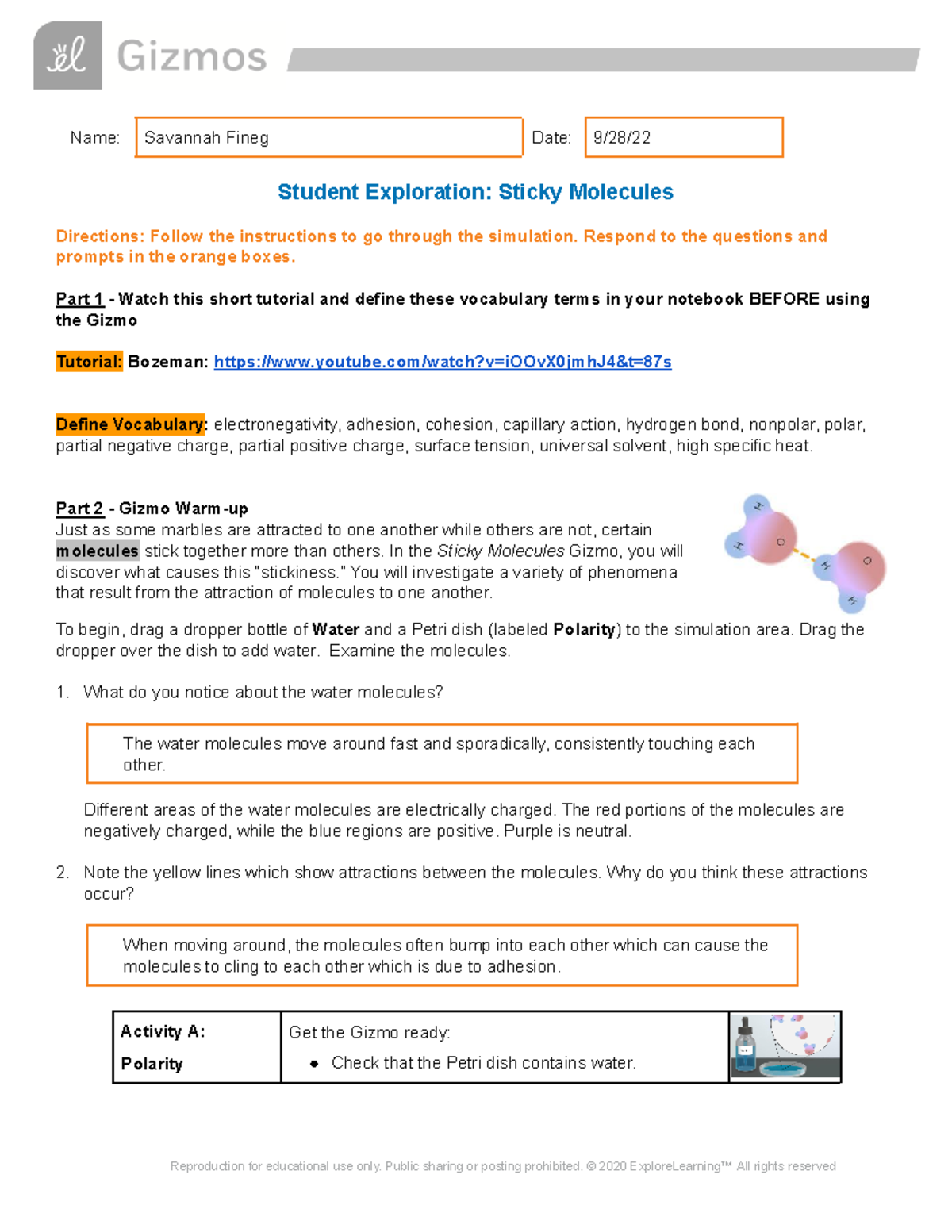 Gizmos Sticky Molecules (Properties of Water) - Name: Savannah Fineg ...