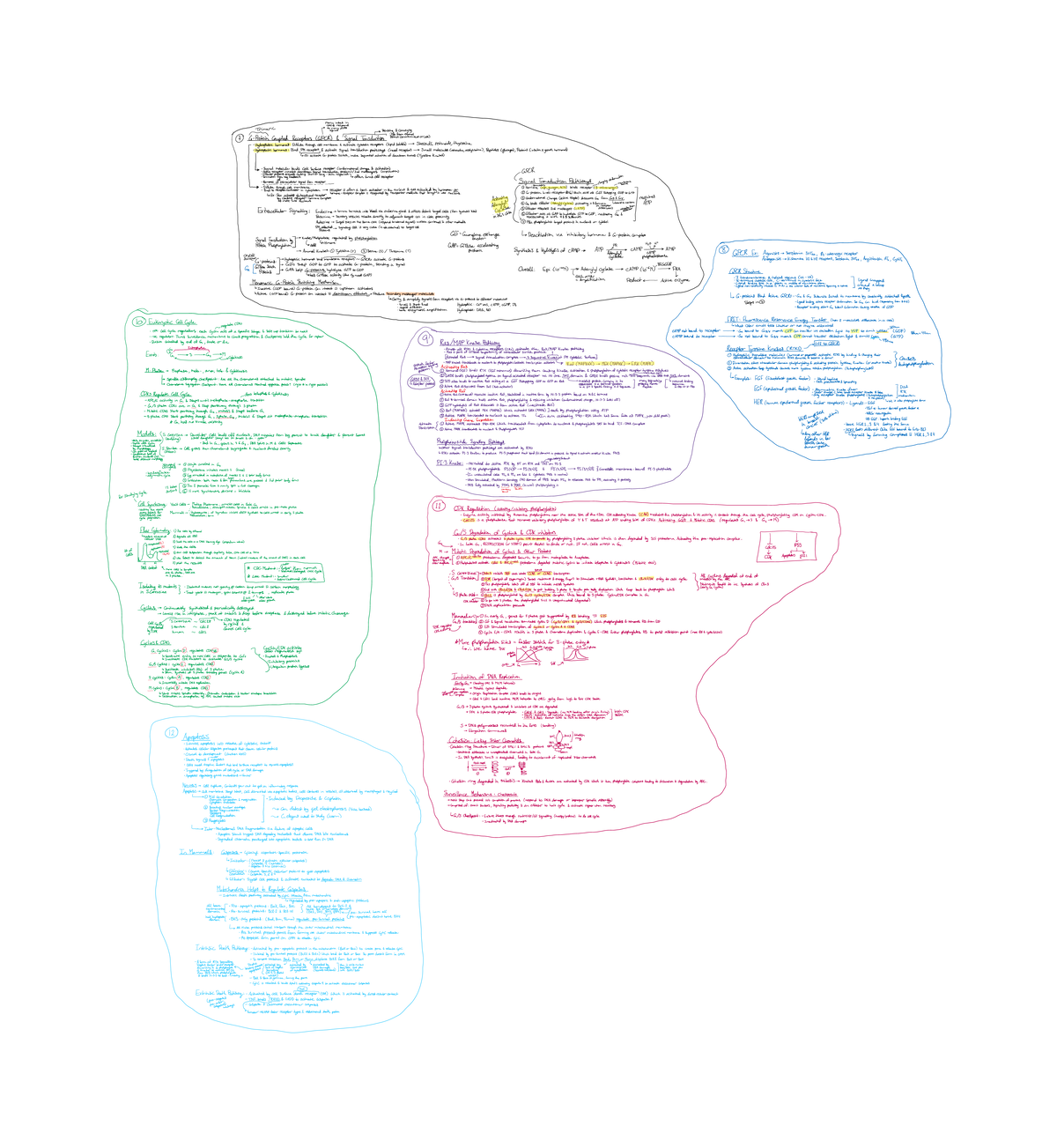 MCB 7-12 - course notes summarized - MCB 2050 - Studocu