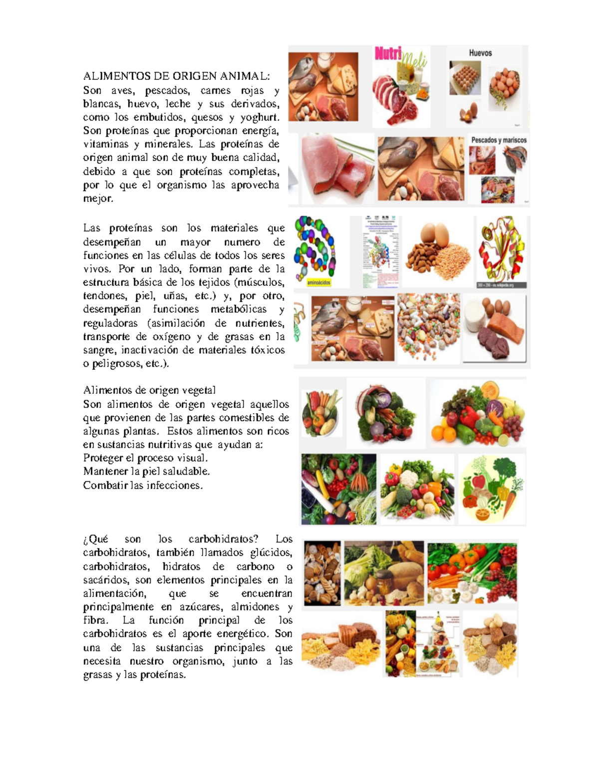 226042016 Alimentos de Origen Animal - ALIMENTOS DE ORIGEN ANIMAL: Son ...