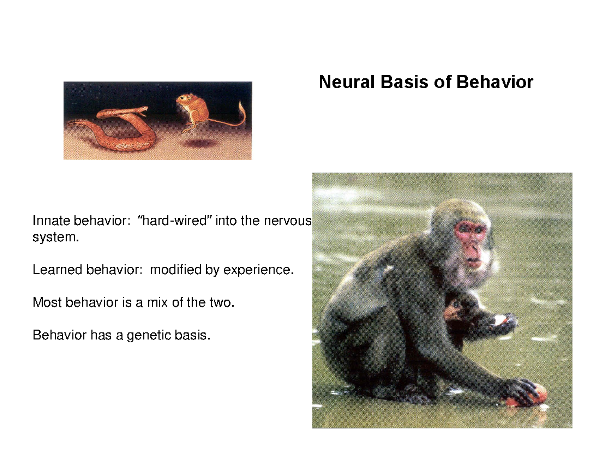 Ch 8 Behavior I - Lecture notes ch 8 - Neural Basis of Behavior Innate ...
