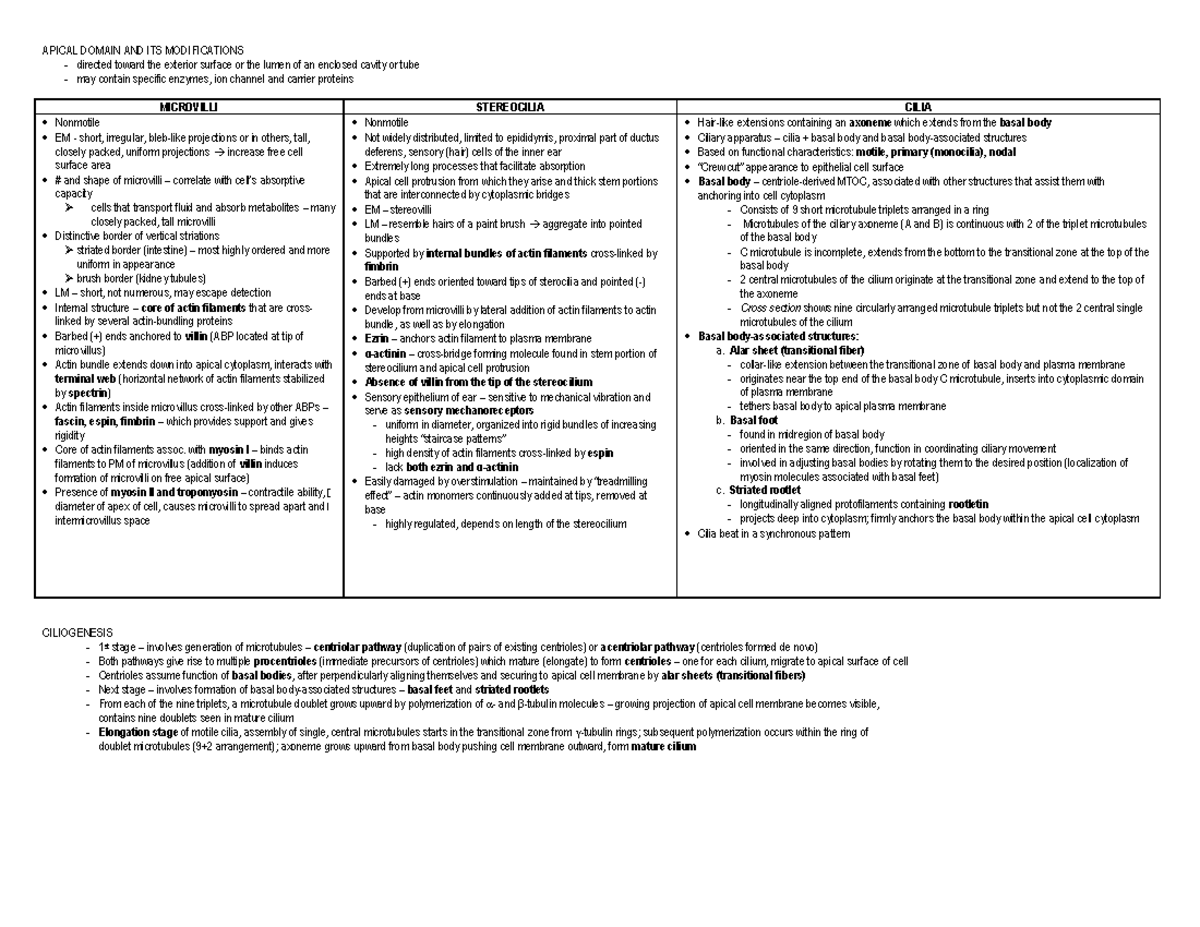 Domains - Epithelium - med notes - APICAL DOMAIN AND ITS MODIFICATIONS ...