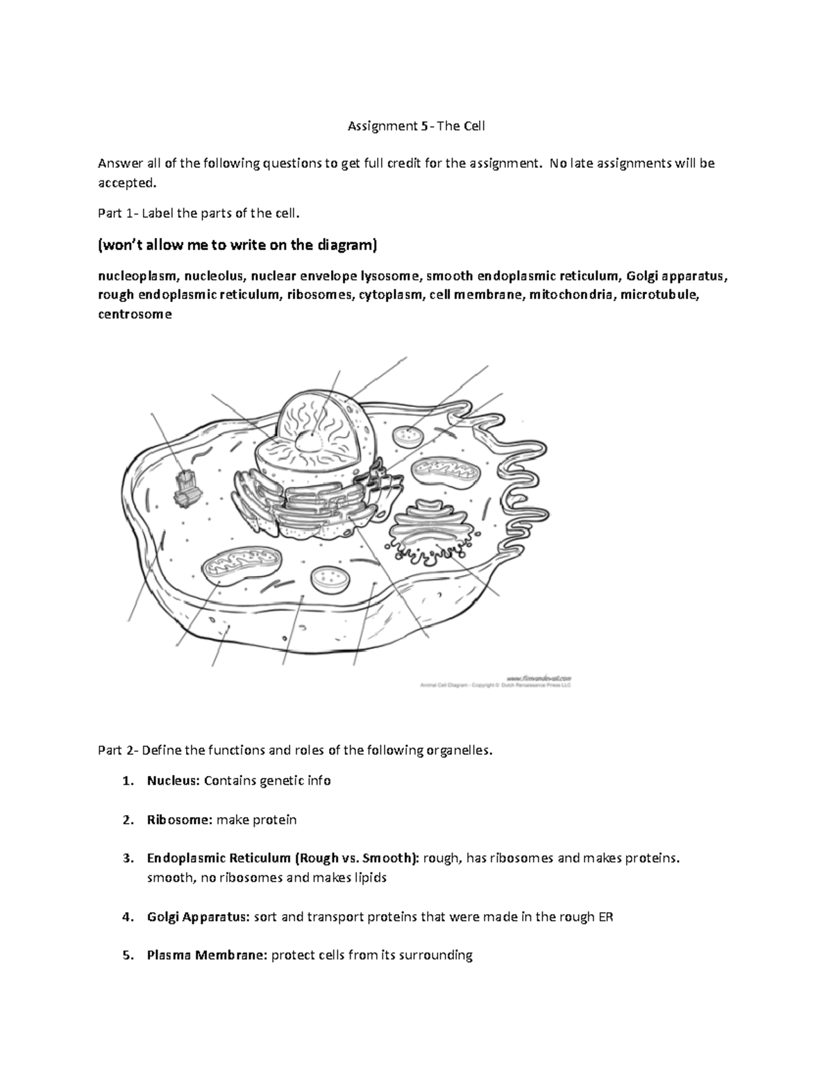 Assignment #5 The Cell - Assignment 5- The Cell Answer all of the ...