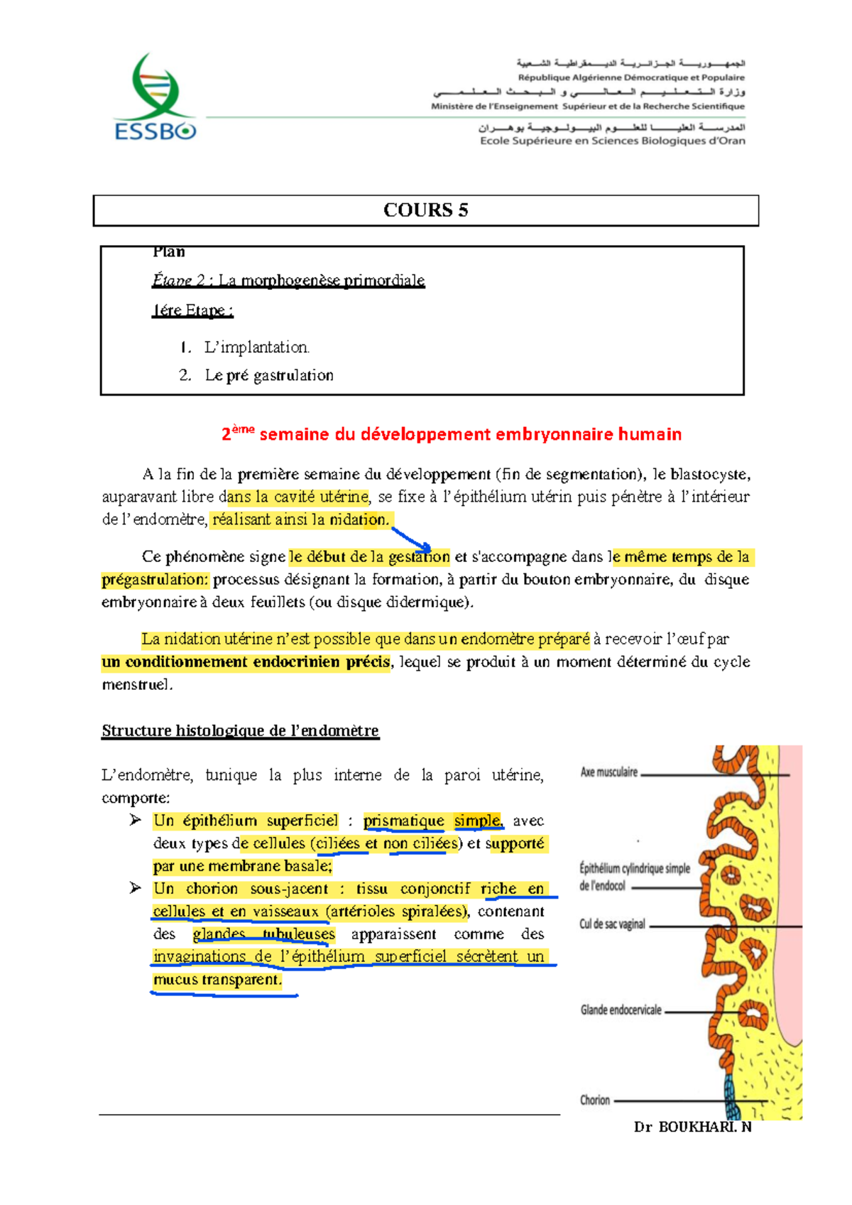 Cours 5 embryologie - COURS 5 Plan Étape 2 : La morphogenèse ...