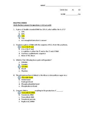Ch17 - Chapter 17 From Gene to Protein Multiple-Choice Questions Garrod ...