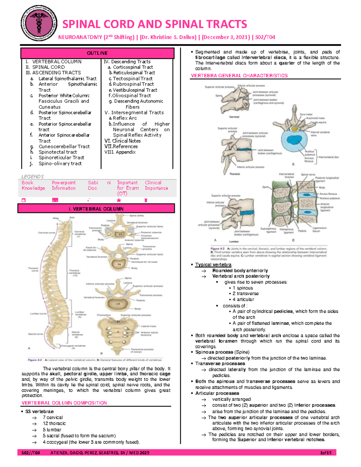 Spinal cord and spinal tracts - SPINAL CORD AND SPINAL TRACTS ...