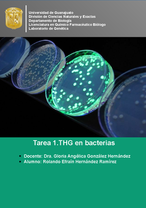 Fotoautótrofos - Apuntes 4 - FOTOAUTÓTROFOS Los organismos ...