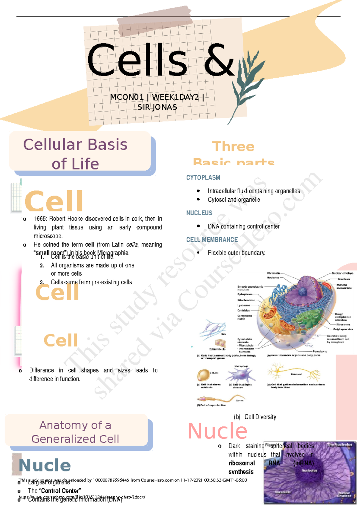Anatomy & Physiology chap 2 - BS Nursing - PWU - Studocu