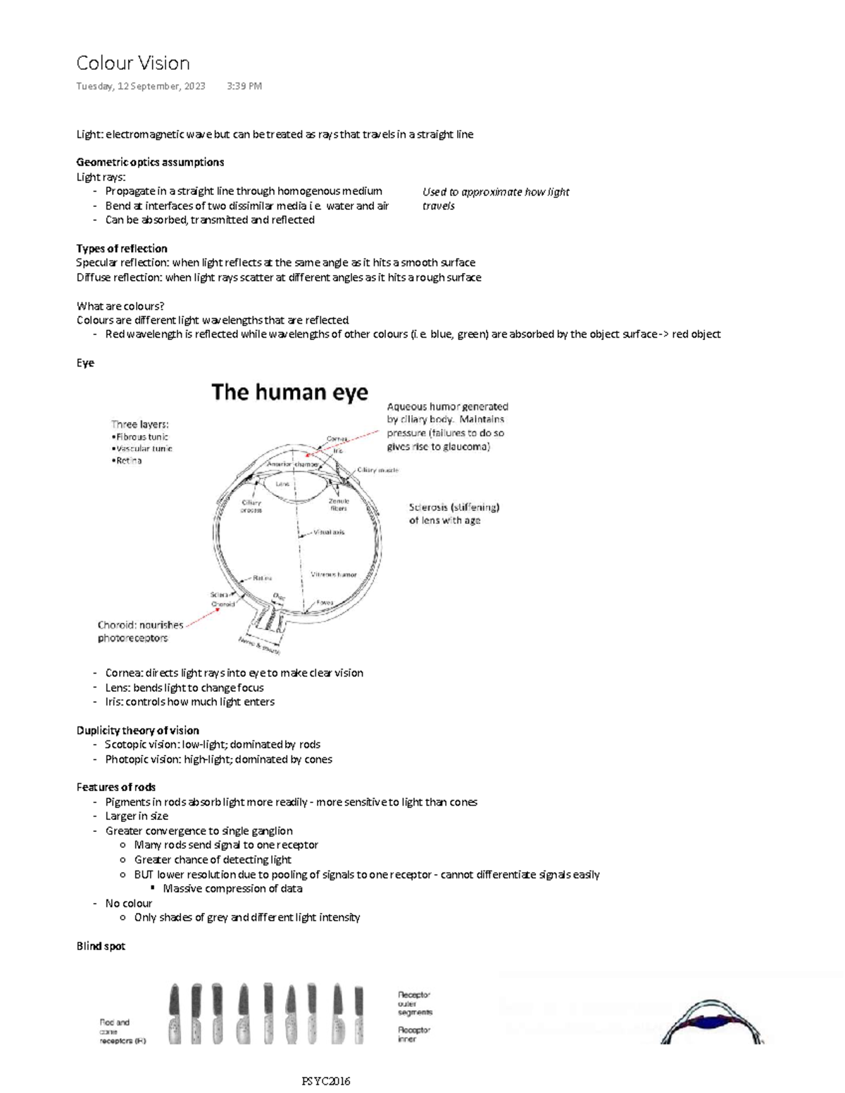 Colour-vision-notes - Summary Perception, Cognition and Intelligence ...