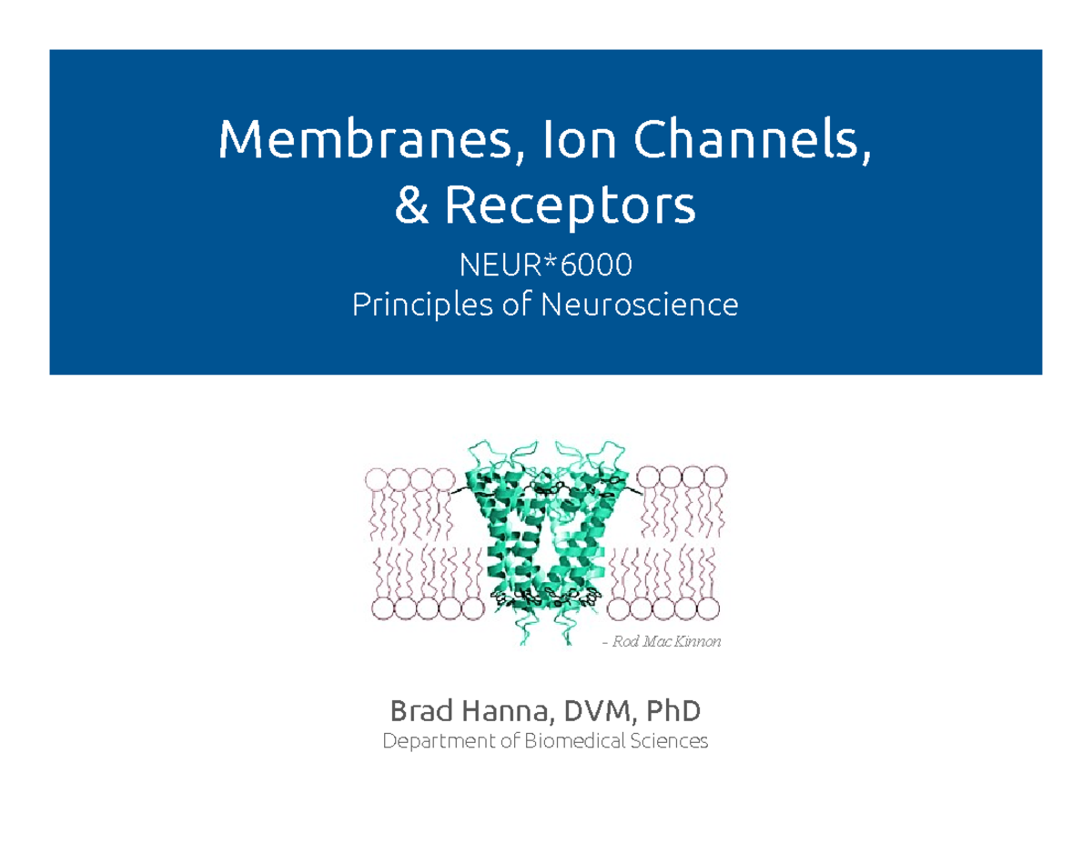 Lecture 3 - Ion channels and receptors - Membranes, Ion Channels, & Receptors NEUR* Principles ...