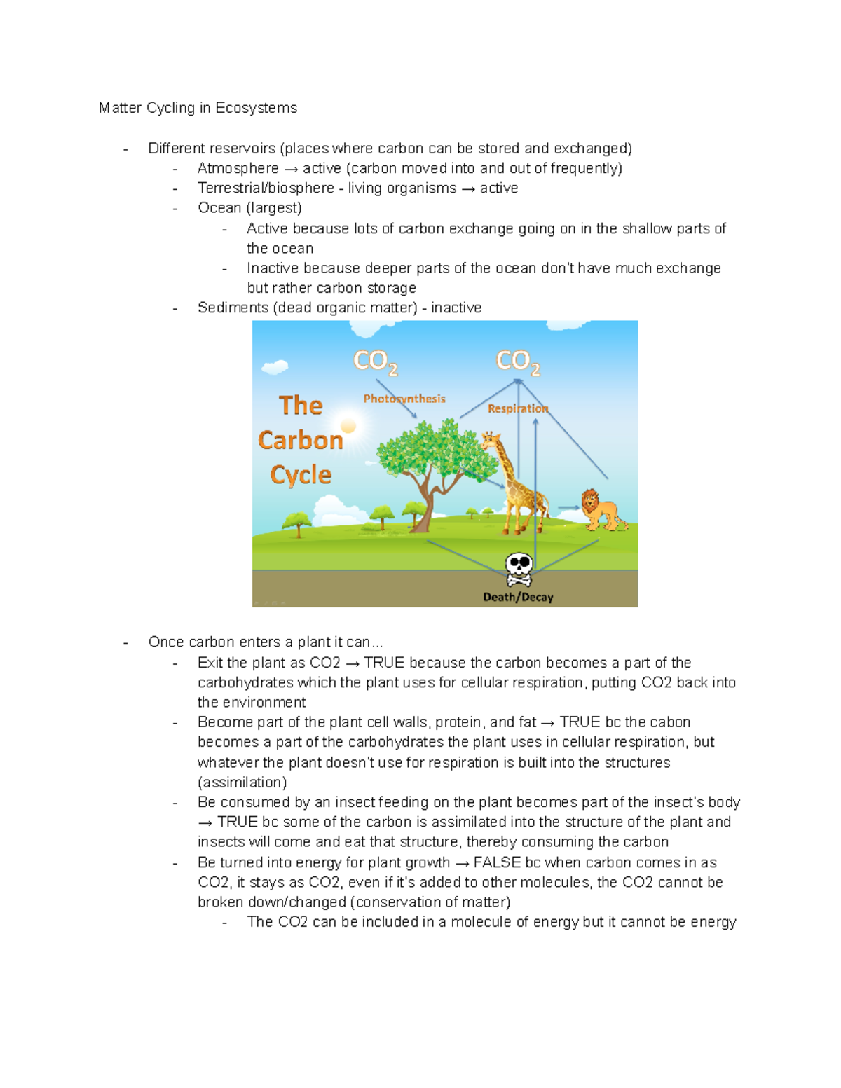 12/5 - Matter Cycling in Ecosystems - Matter Cycling in Ecosystems ...