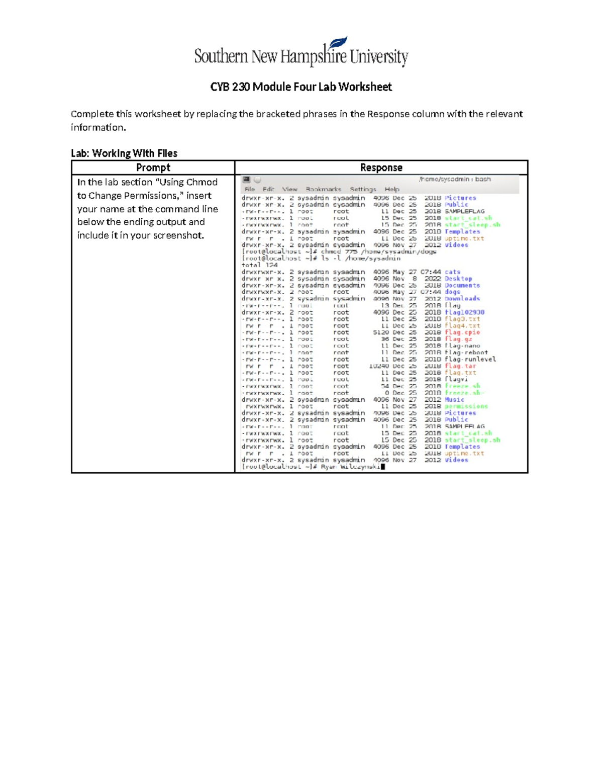 CYB 230 Module 4 Lab Worksheet - CYB 230 Module Four Lab Worksheet ...
