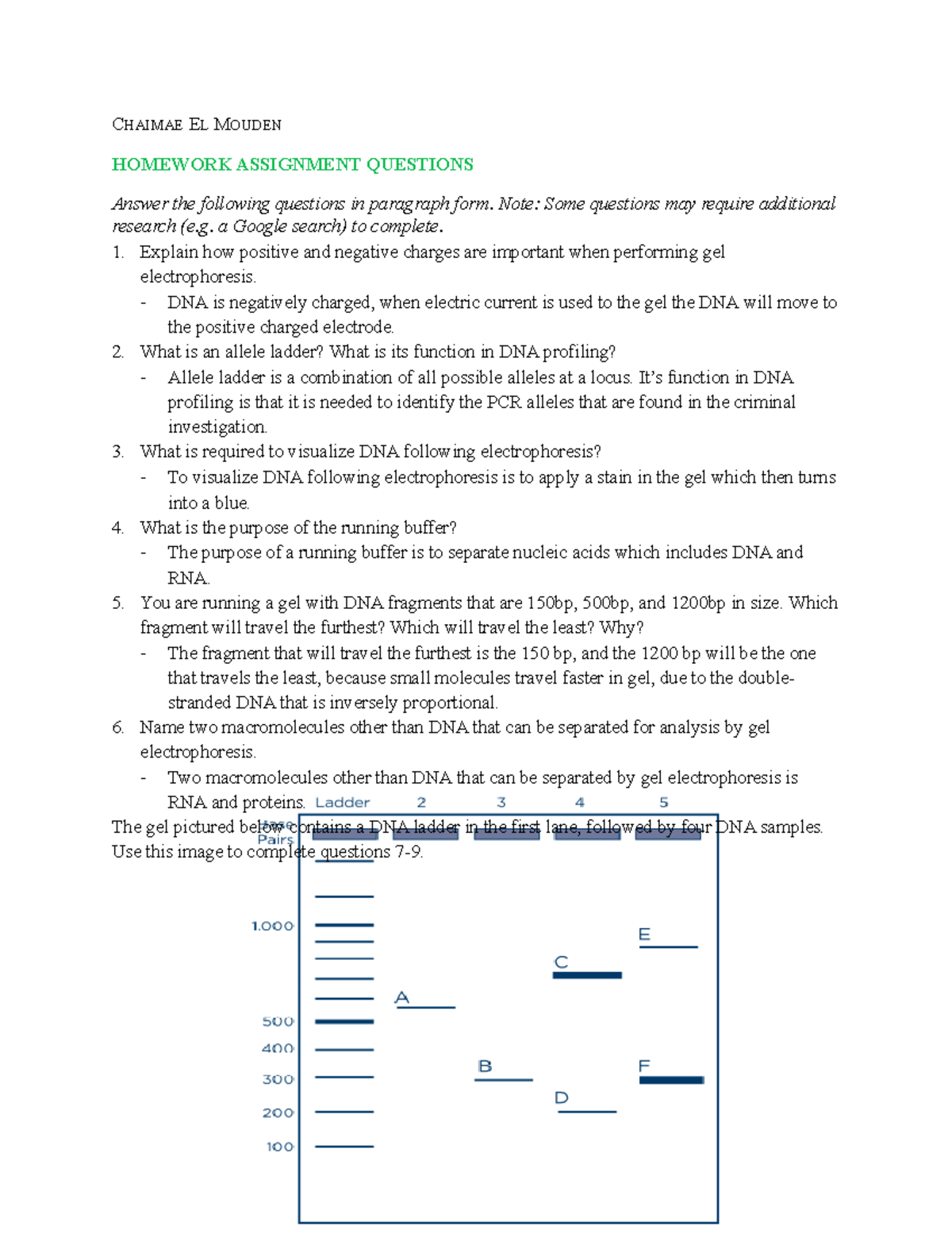 Lab 9 (Part II) Homework Assignment for Online Students - CHAIMAE EL MOUDEN HOMEWORK ASSIGNMENT ...