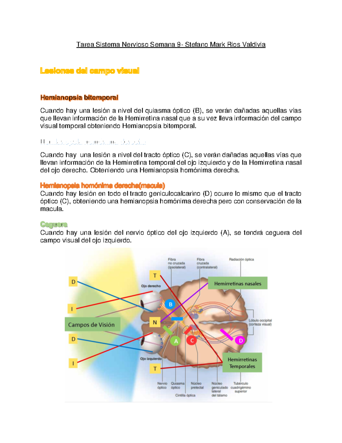 Sistema nervioso semana 9 - Warning: TT: undefined function: 32 Tarea Sistema Nervioso Semana 9 ...