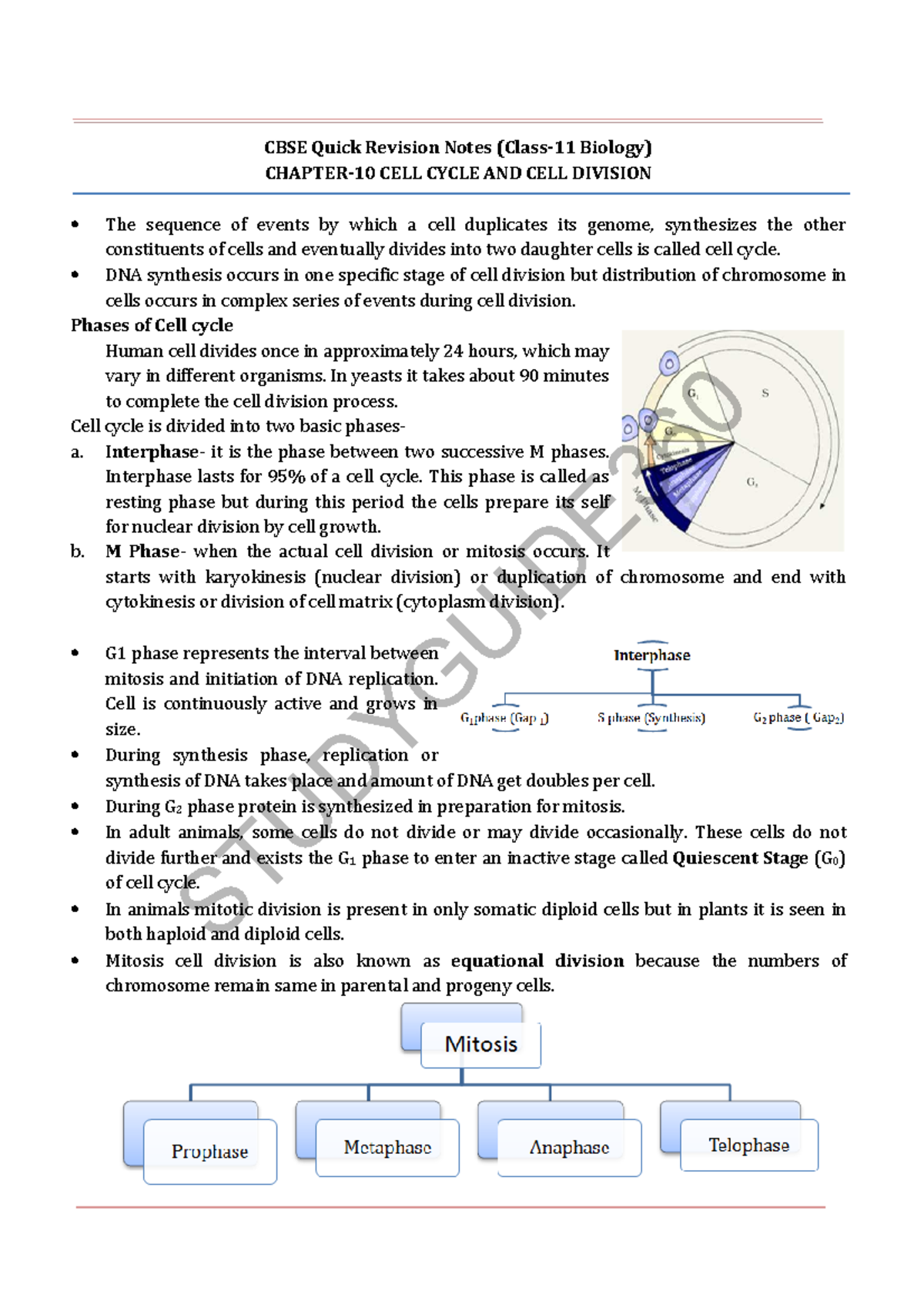 11 biology notes ch10 cell cycle and cell devision unlocked - CBSE ...