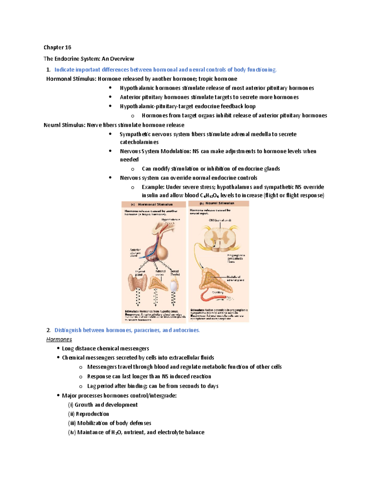 Chapter 16: Endocrine - Chapter 16 The Endocrine System: An Overview 1 ...