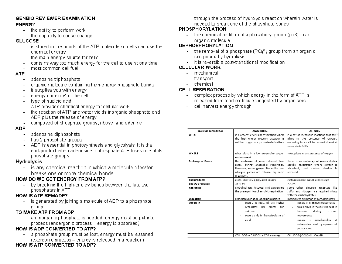 Genbio Reviewer - General Biology - GENBIO REVIEWER EXAMINATION ENERGY ...
