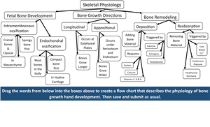 Chapter 13 pt4 - Melissa Storm - XX. Peripheral Nervous System PNS ...