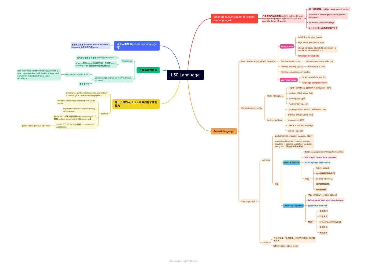 L30 Language mindmap best for final revision - L30 Language When do ...