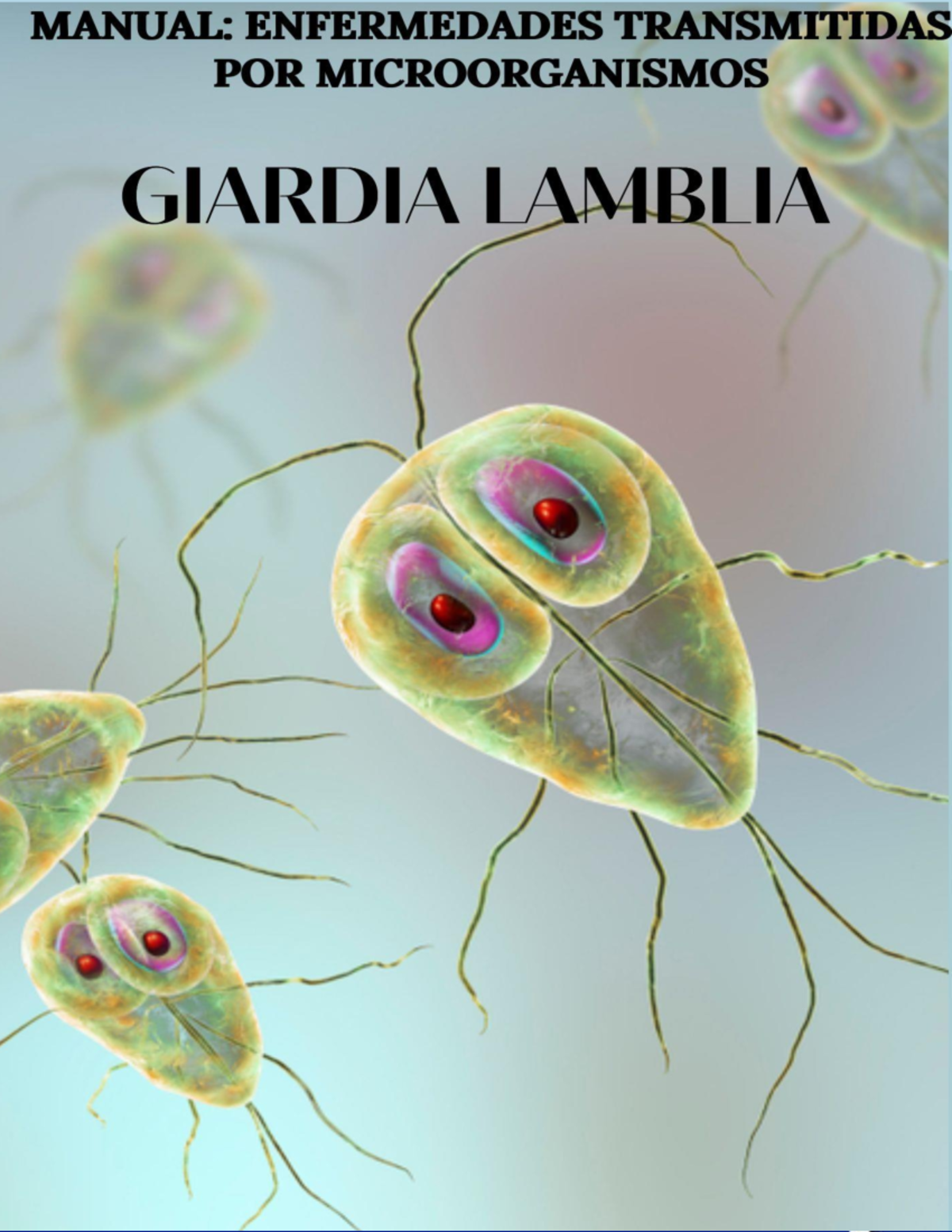 Giardia Lamblia Proyecto Microbiologia - UNIVERSIDAD O INSTITUCION ...