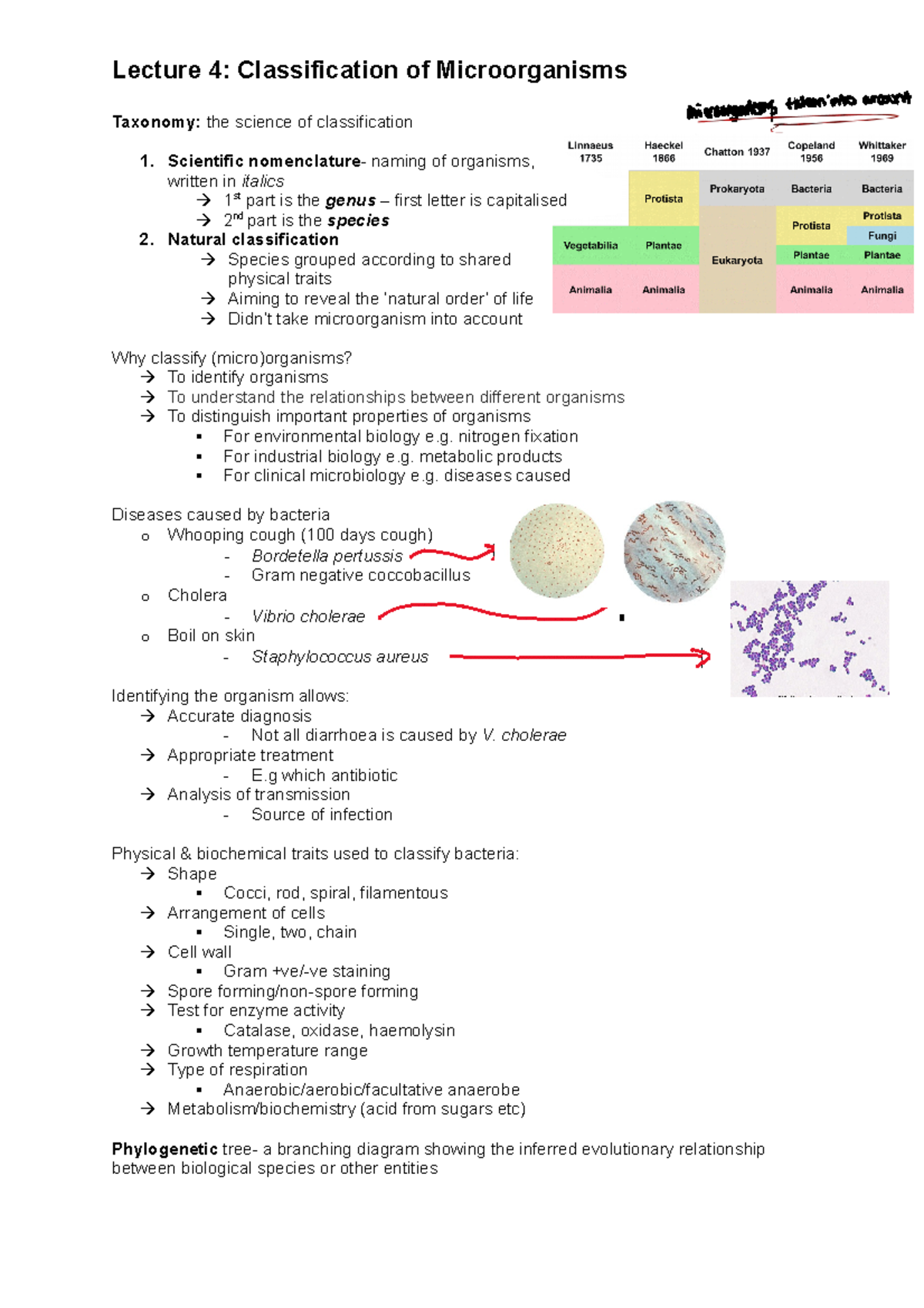 L4 Classification of microorganisms - Lecture 4: Classification of ...