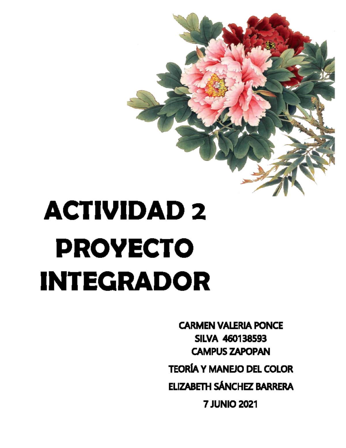 A2 Gamas de color - ACTIVIDAD 2 PROYECTO INTEGRADOR GAMA DE COLOR ...