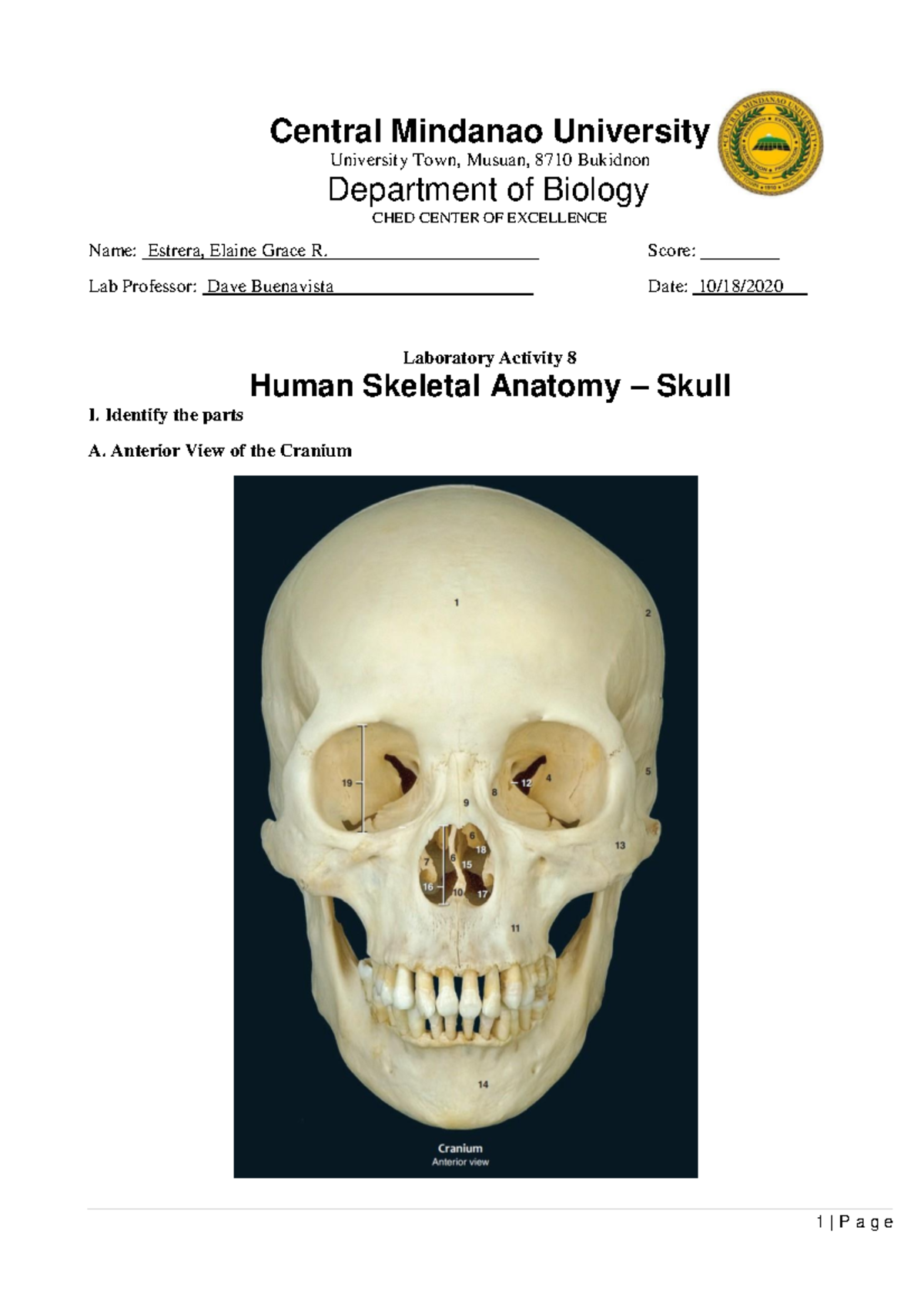 Estrera, EG- Exercise No. 8 - Central Mindanao University University ...