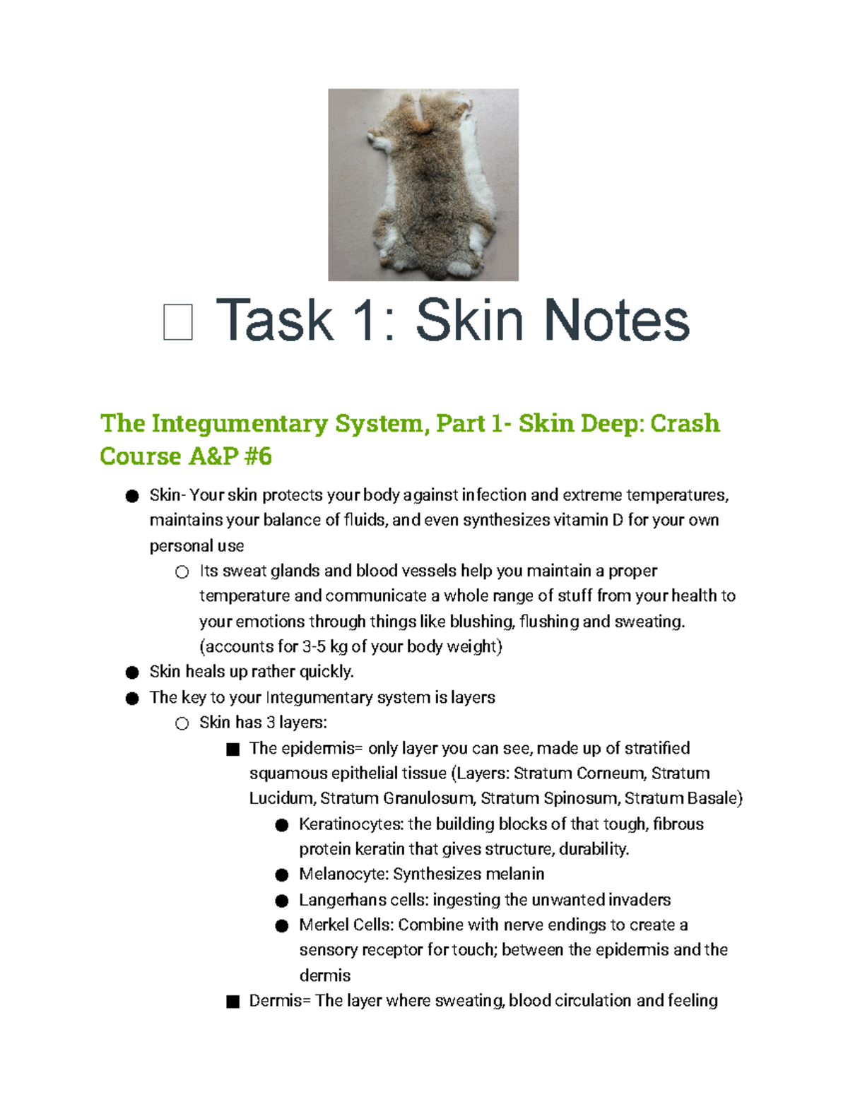 Biology Skin Notes - 🧪 Task 1: Skin Notes The Integumentary System ...