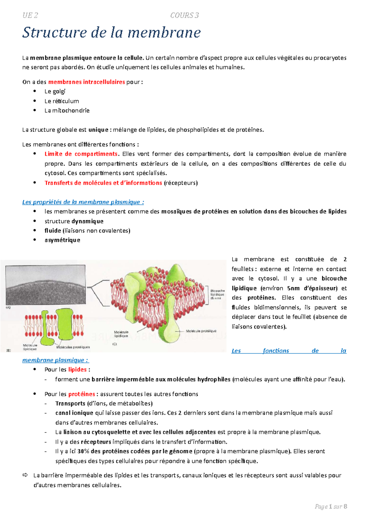 C3 - La membrane plasmique - Structure de la membrane La membrane ...