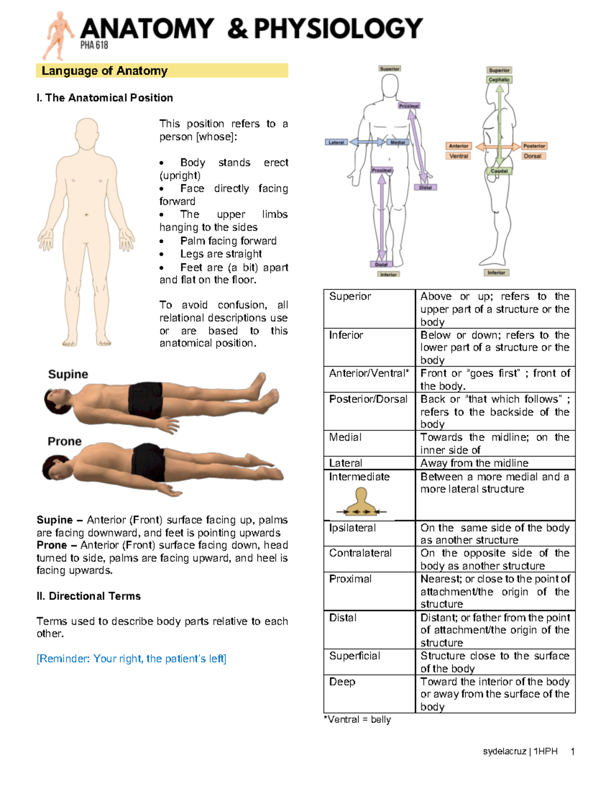 Anatomy and Physiology Notes for 1st year Students - Language of ...