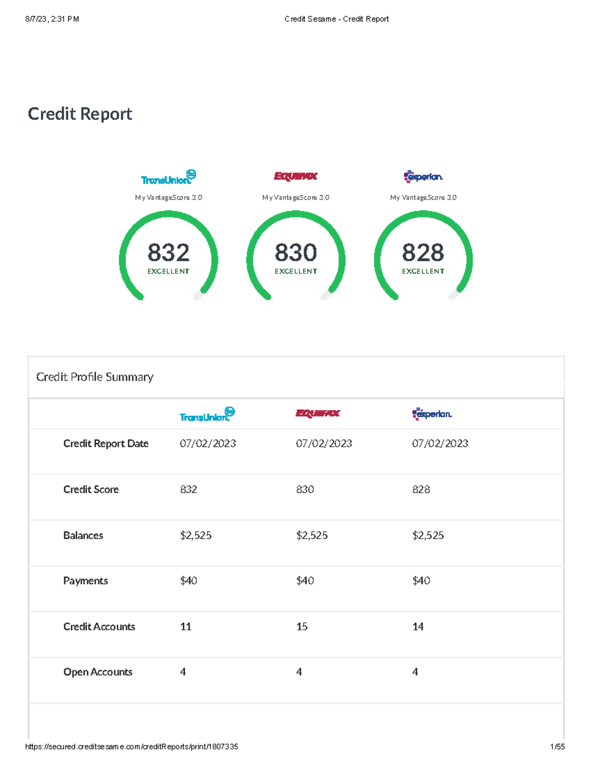 Credit Sesame - Credit Report - Credit Report My VantageScore 3 My ...