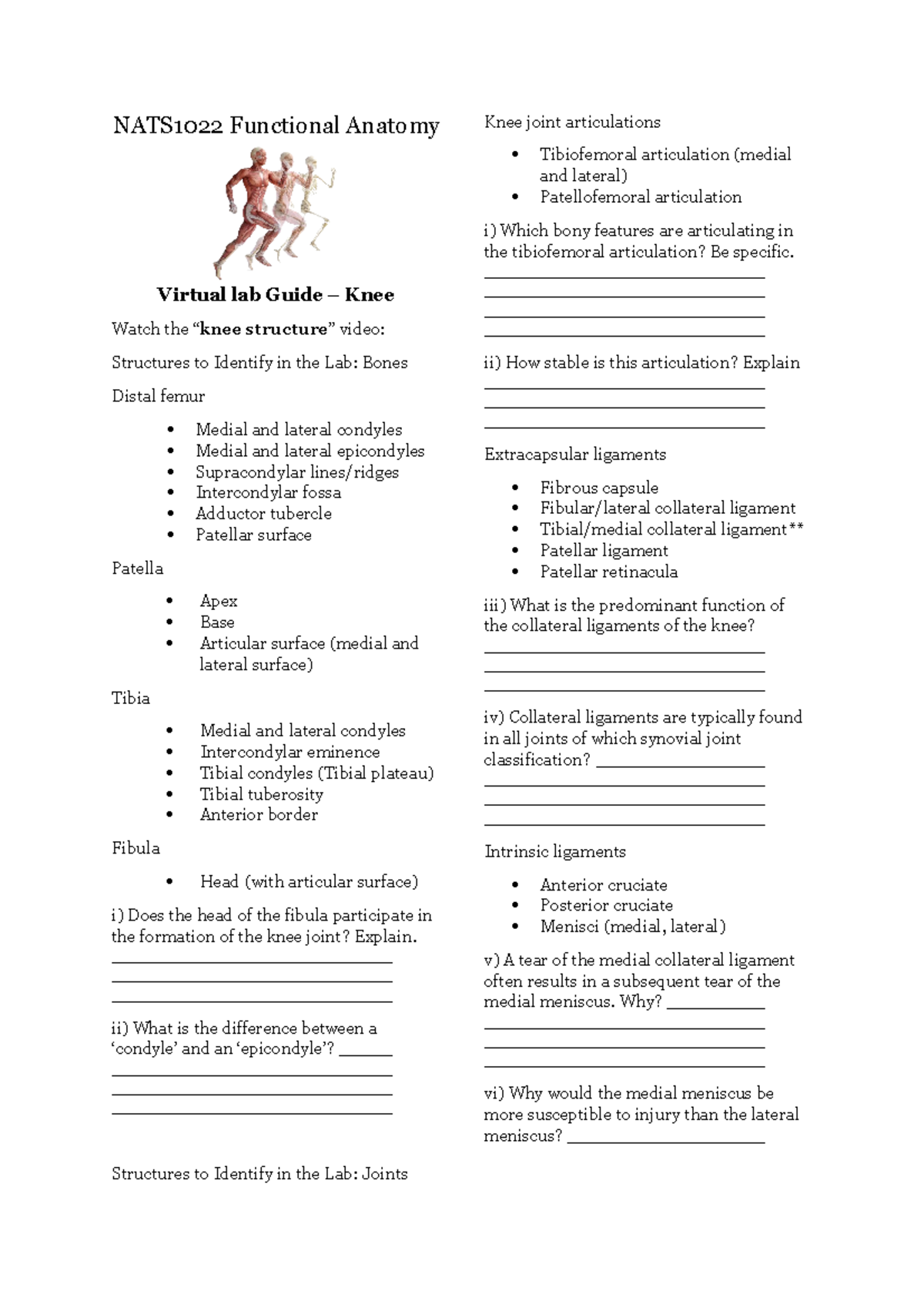 NATS1022 Functional Anatomy Lab Guide 3 - NATS1022 Functional Anatomy ...