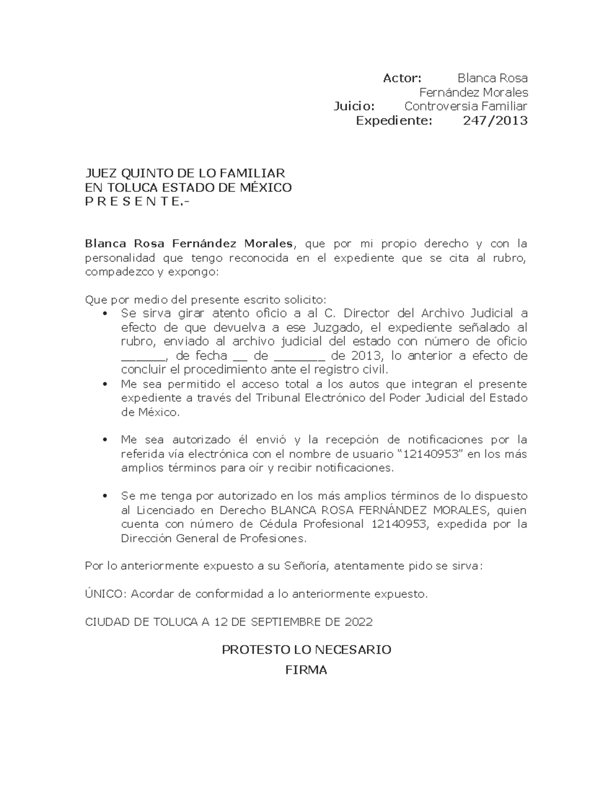 Sol exp 247 - ejemplo de solicitud de expediente de archivo - Actor ...