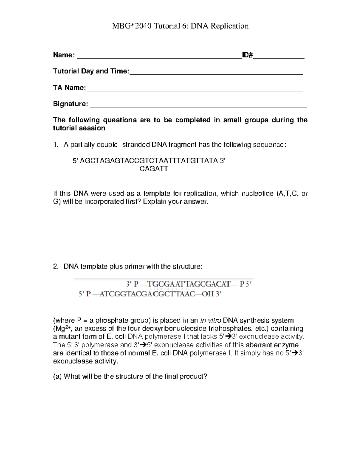 Assignment 6 - DNA Replication - MBG*2040 Tutorial 6: DNA Replication ...