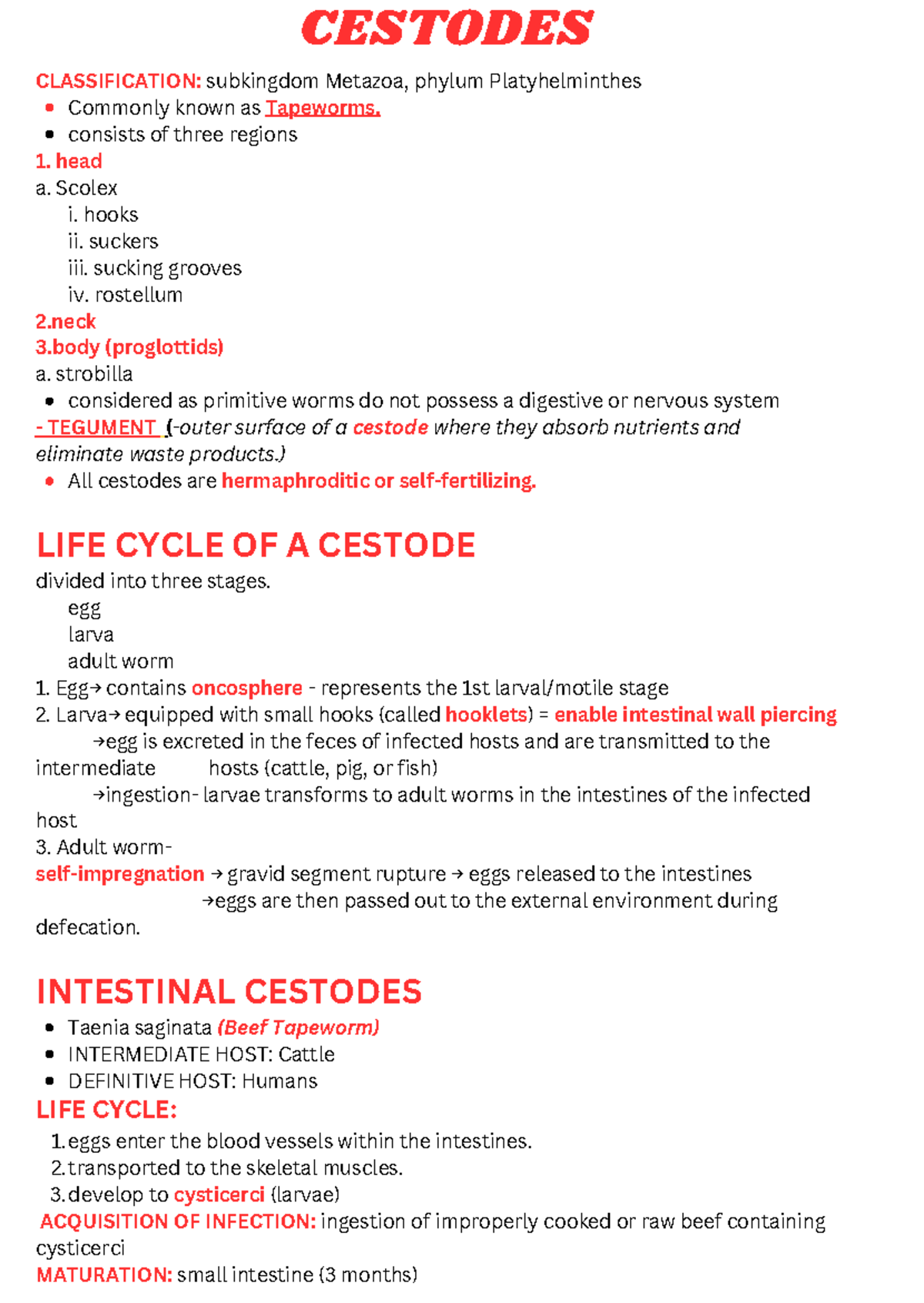Cestodes - CESTODES CLASSIFICATION: subkingdom Metazoa, phylum ...