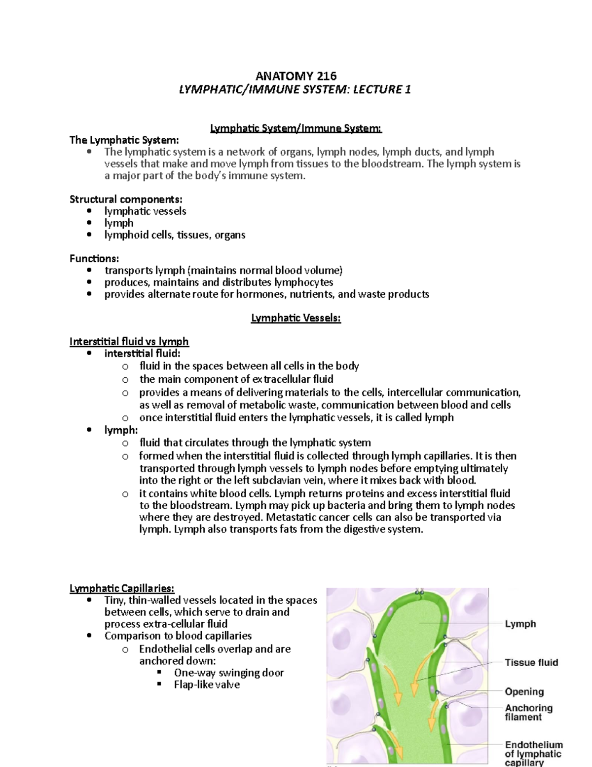 2. Lymphatic AND Immune System - ANATOMY 216 SYSTEM: LECTURE 1 ...