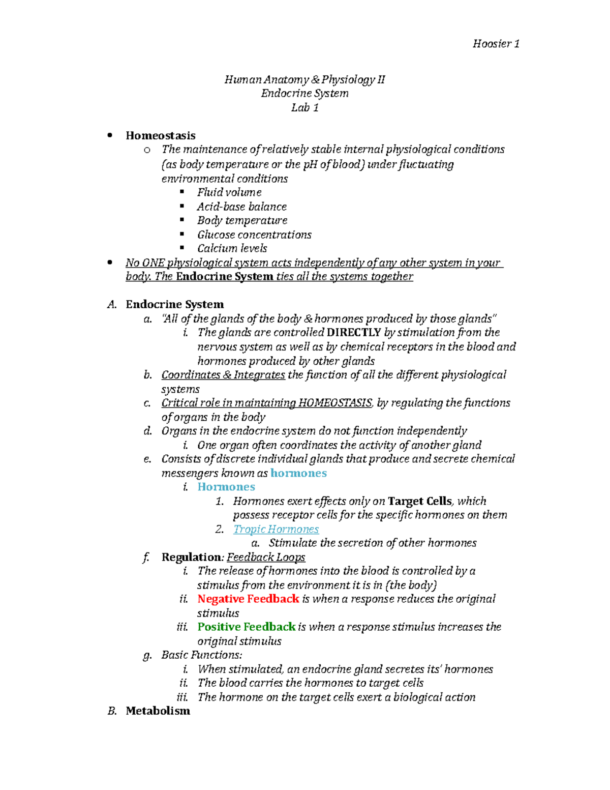 Lab 1 Endocrine Notes - Human Anatomy & Physiology II Endocrine System ...