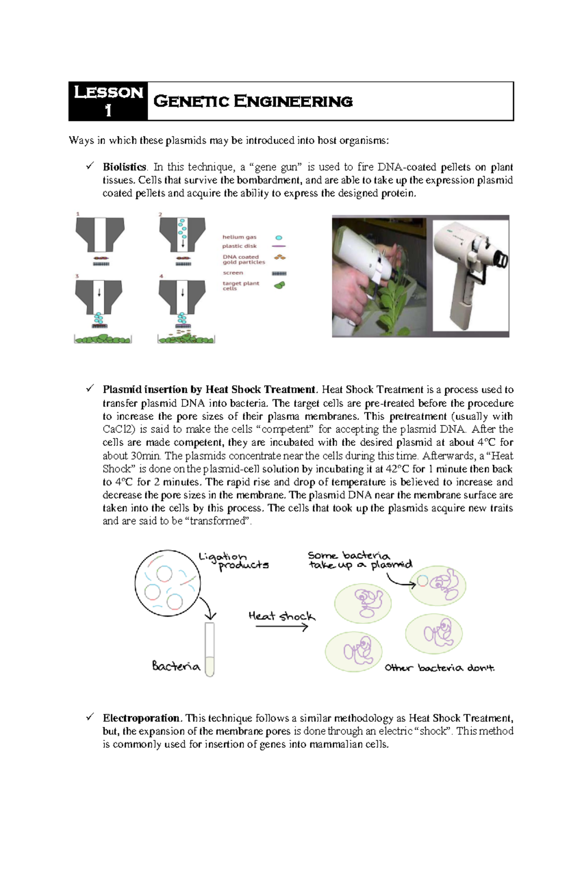 Genetic Engineering Handouts 2 - Lesson 1 Genetic Engineering Ways in ...