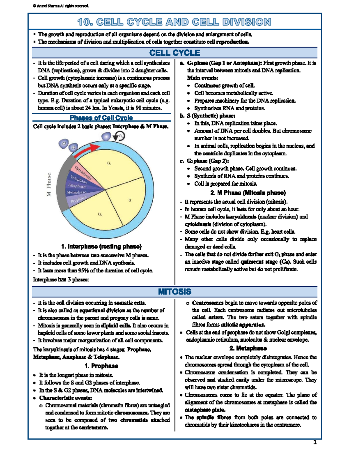 Cell cycle and division-Summary - BIOL 1002 - Studocu