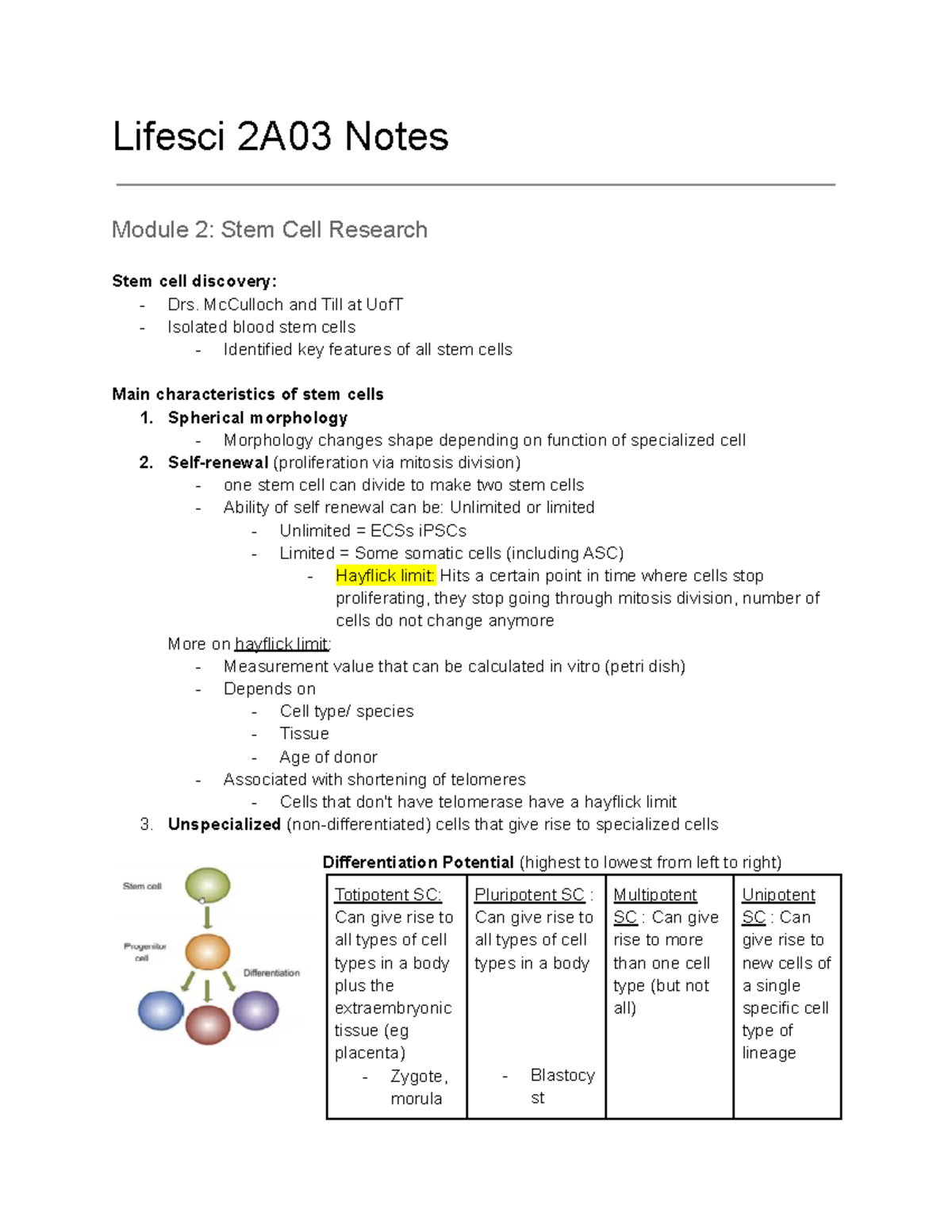 Lifesci 2A03 Notes Part 2 - Lifesci 2A03 Notes Module 2: Stem Cell ...