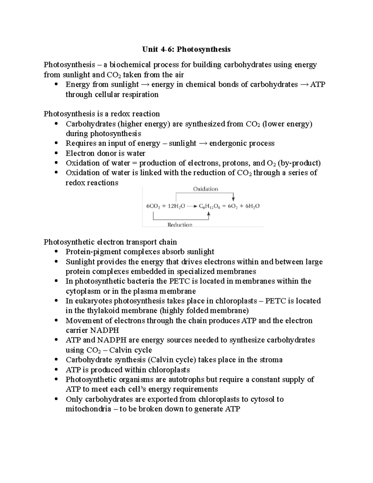Unit 4 6 Photosynthesis of the Cell - Plants - Unit 4-6: Photosynthesis ...