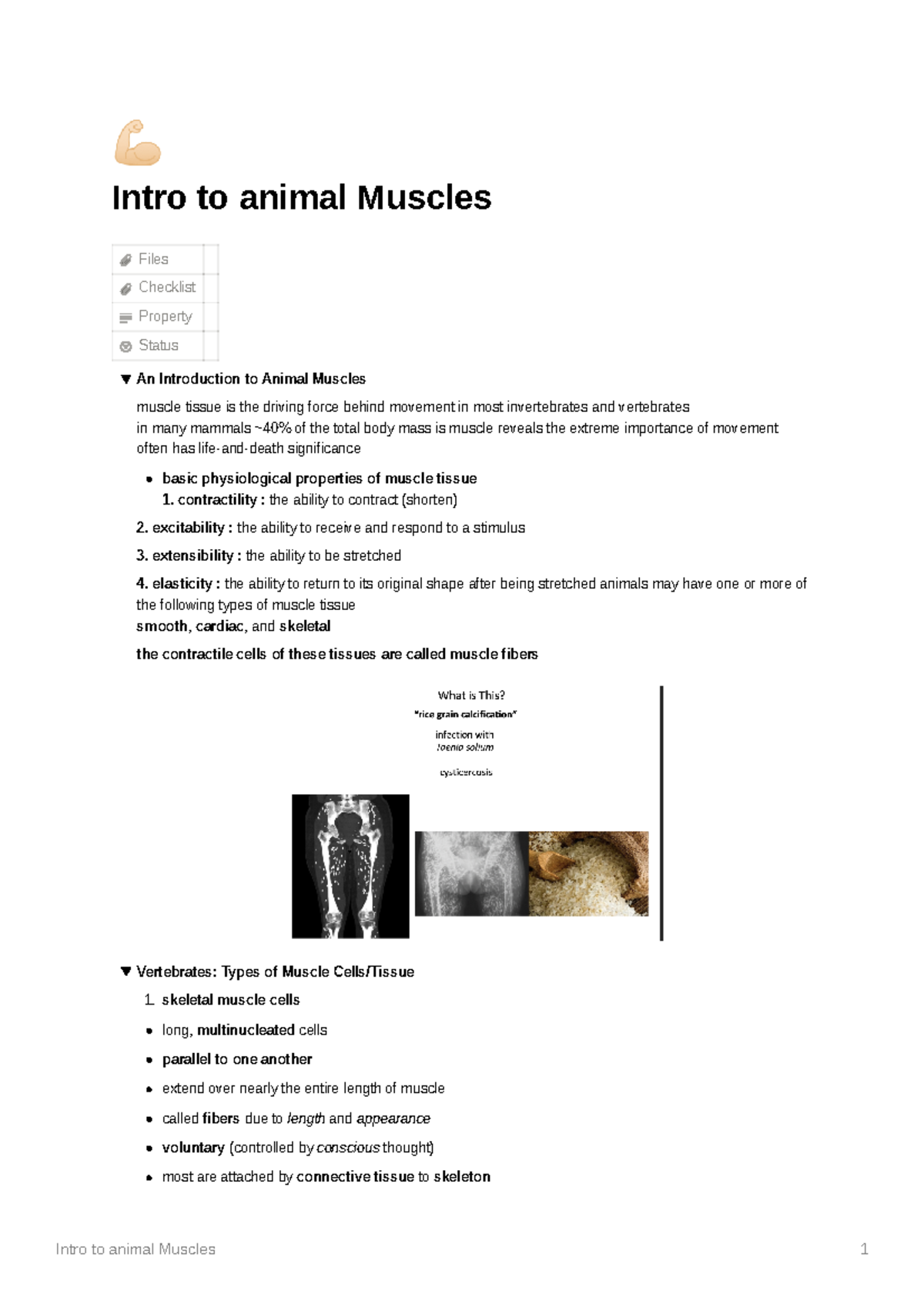 Muscle Review and Lecture 6-8 - Intro to animal Muscles Files Checklist ...