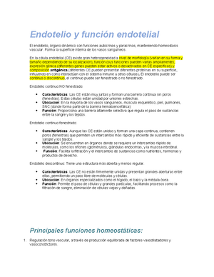 Hormonas Tiroideas Resumen 240406 232555 - A) Eje Tiroideo: Tirotropas ...