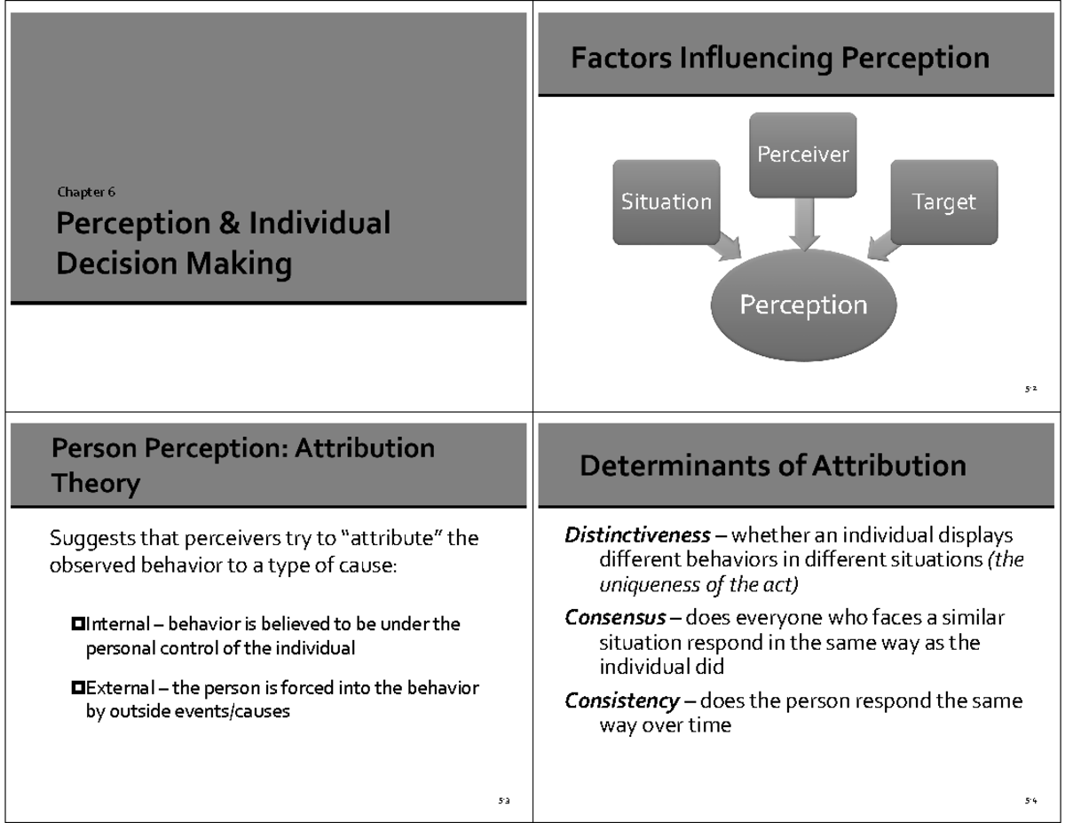 CH 6 Perception and individual Decision Making - Chapter 6 Perception ...