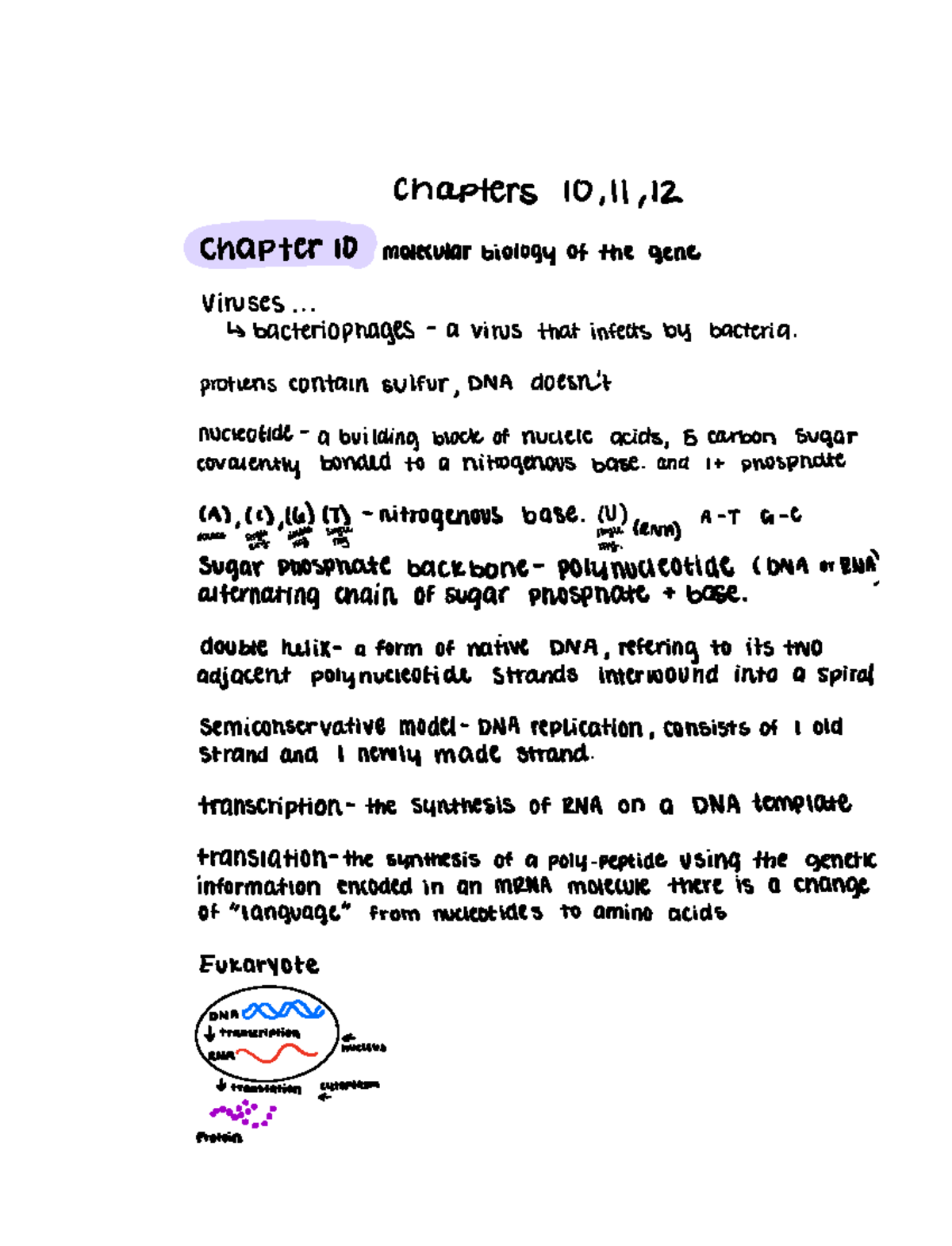 Chapters 10 11 12 - Exam 5 chapters ####### 10 11, ####### Chapter 10 ...