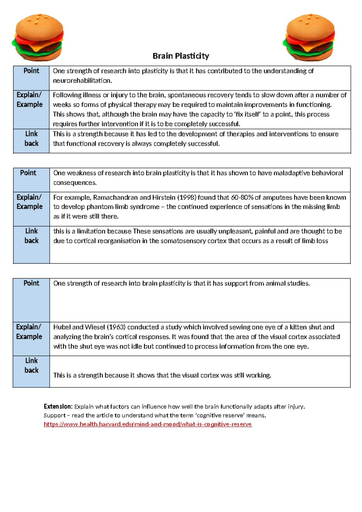 Copy of Brain plasticity- evaluation - Brain Plasticity Point One ...
