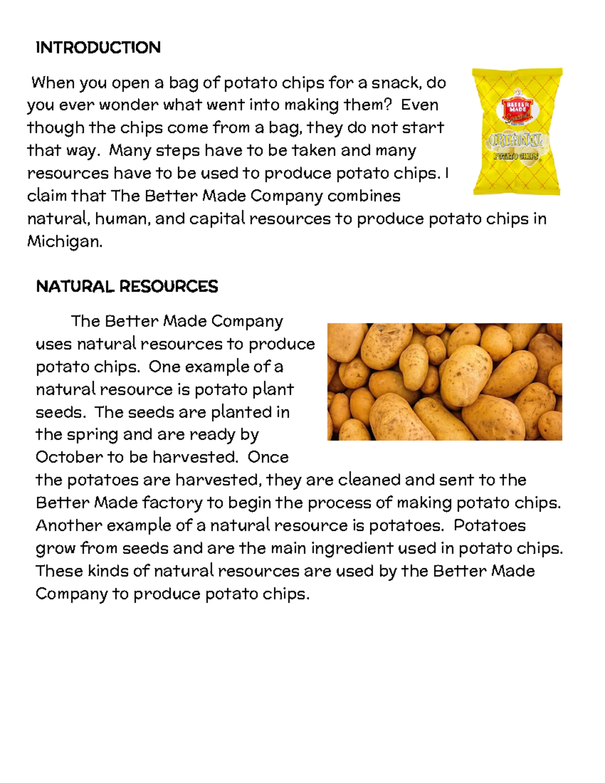 Economics Performance Task Example - INTRODUCTION When you open a bag ...