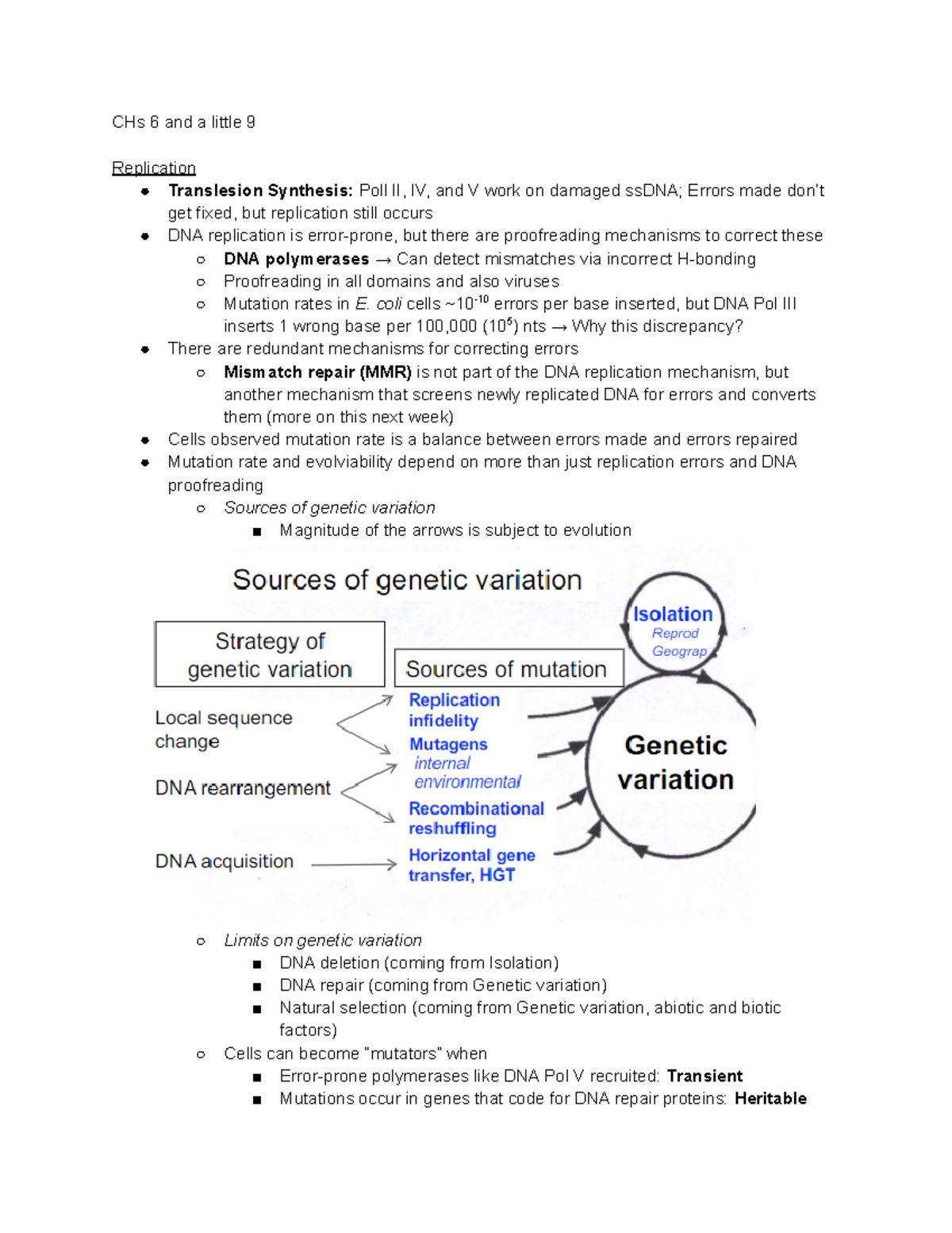 Lecture 17 Molecular Information Processing - CHs 6 and a little 9 ...