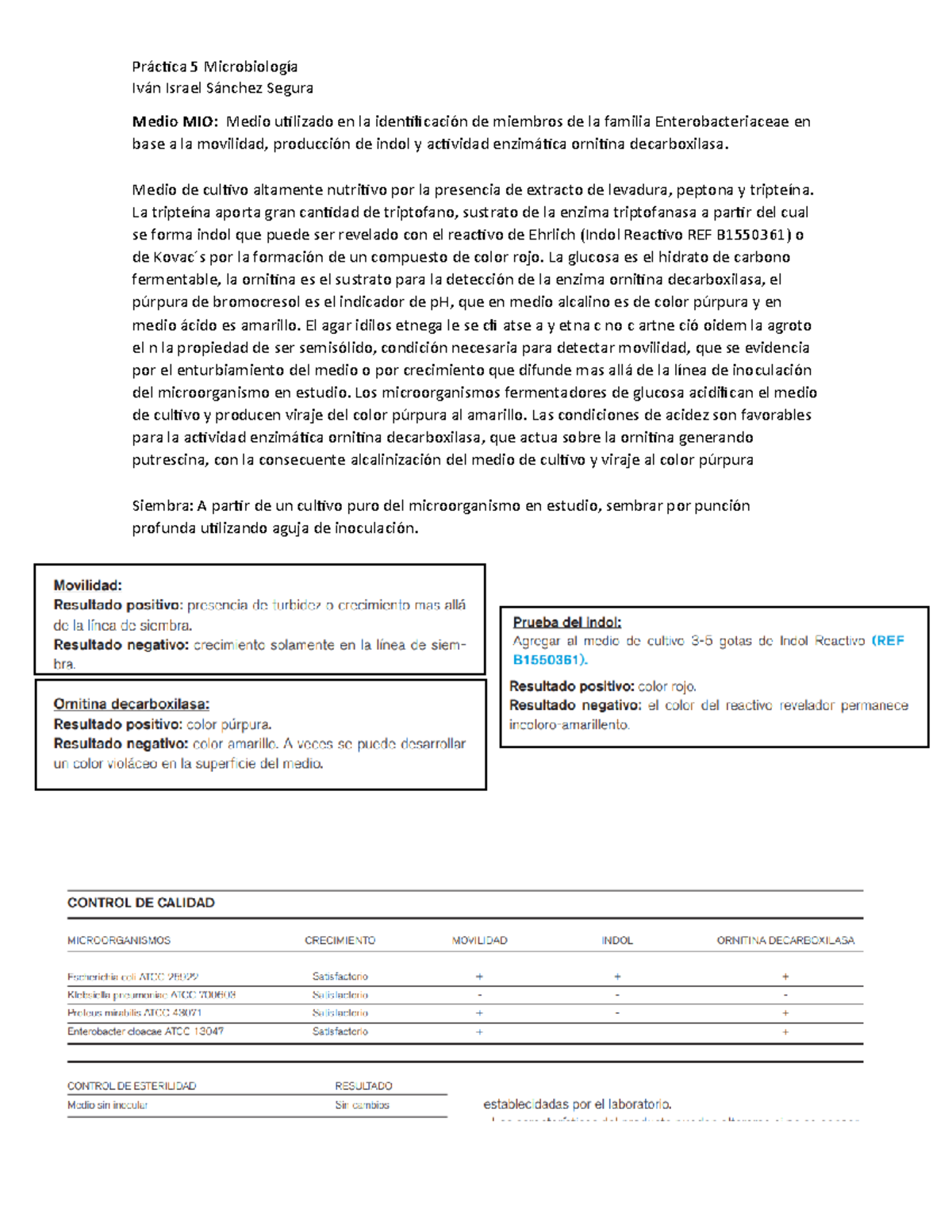 Pract 5 agares micro - Iván Israel Sánchez Segura Medio MIO: Medio ...